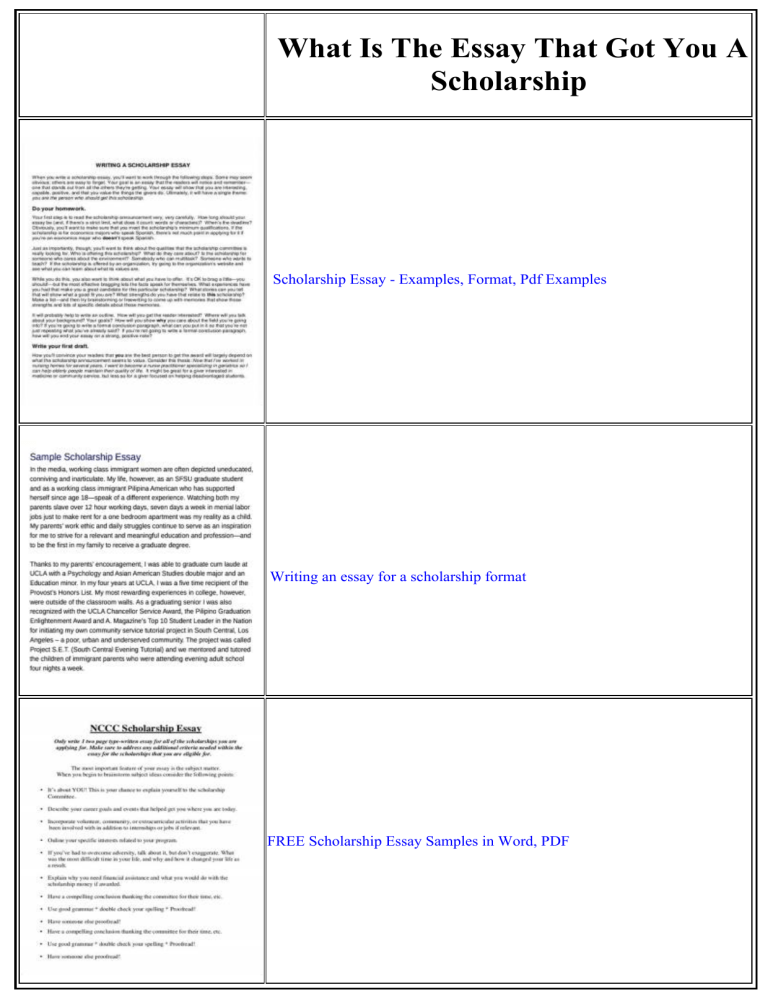 Scholarship Essay Writing Guide & Examples