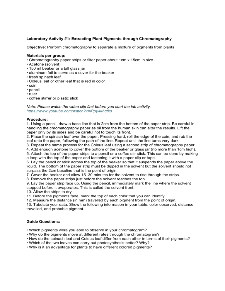 Extracting Plant Pigments: Chromatography Lab Activity #1
