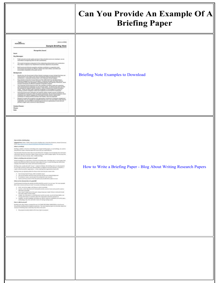 Briefing Paper Examples & How-To Guide