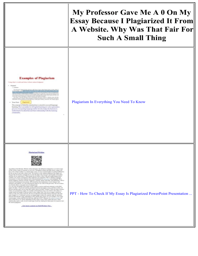 Essay Writing Guide: Plagiarism, Structure & Tips