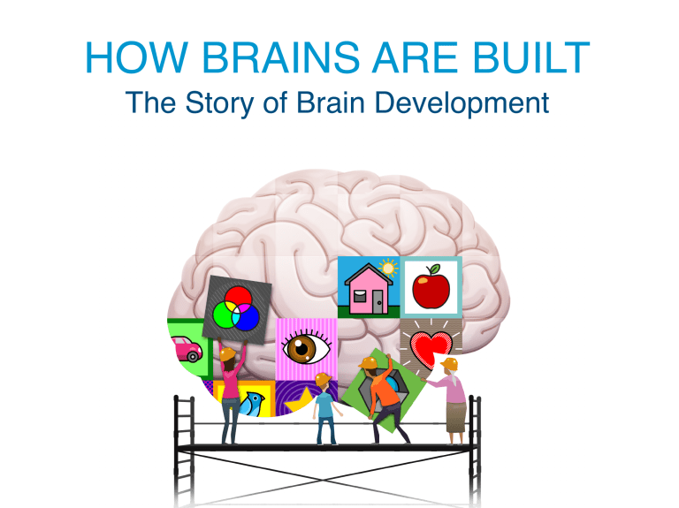 How Brains Are Built: Development, Stress, & Resilience