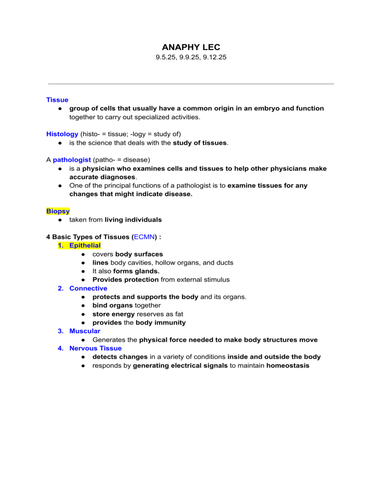 Anatomy & Physiology Lecture: Tissues & Histology Basics