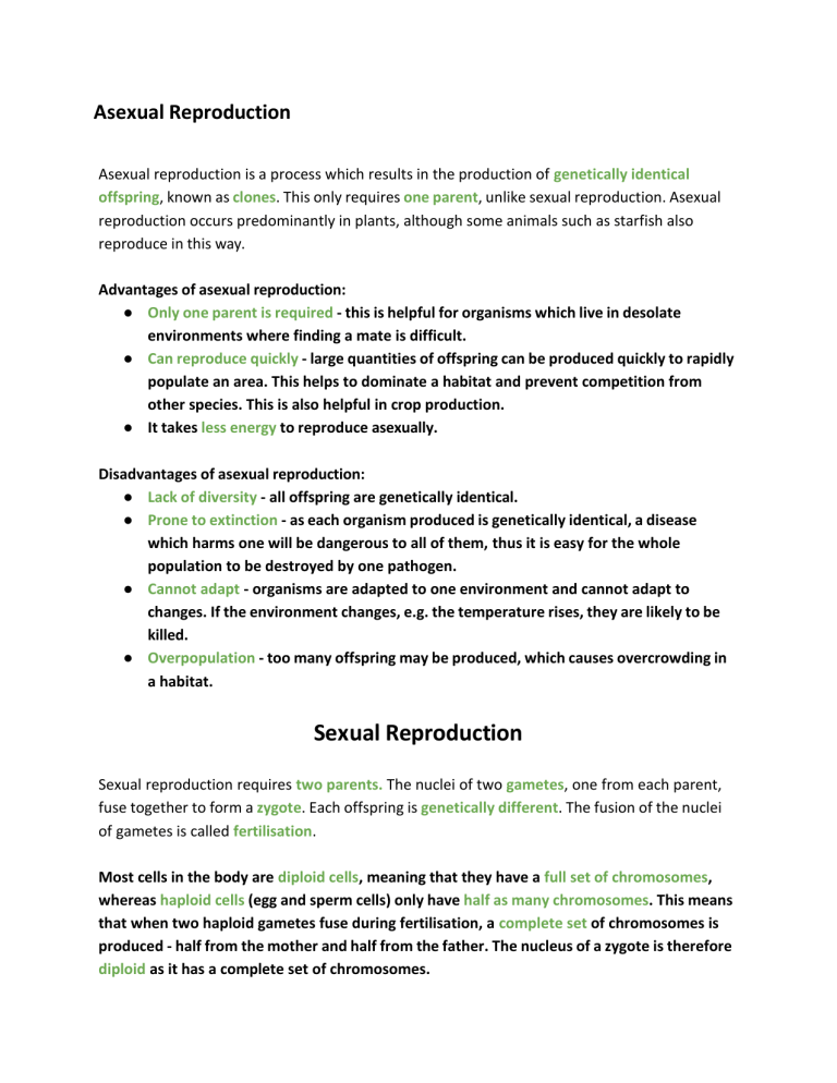 Asexual & Sexual Reproduction: Plants & Humans
