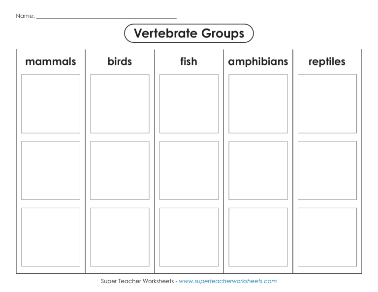Vertebrate Groups Worksheet & Answer Key | Super Teacher Worksheets