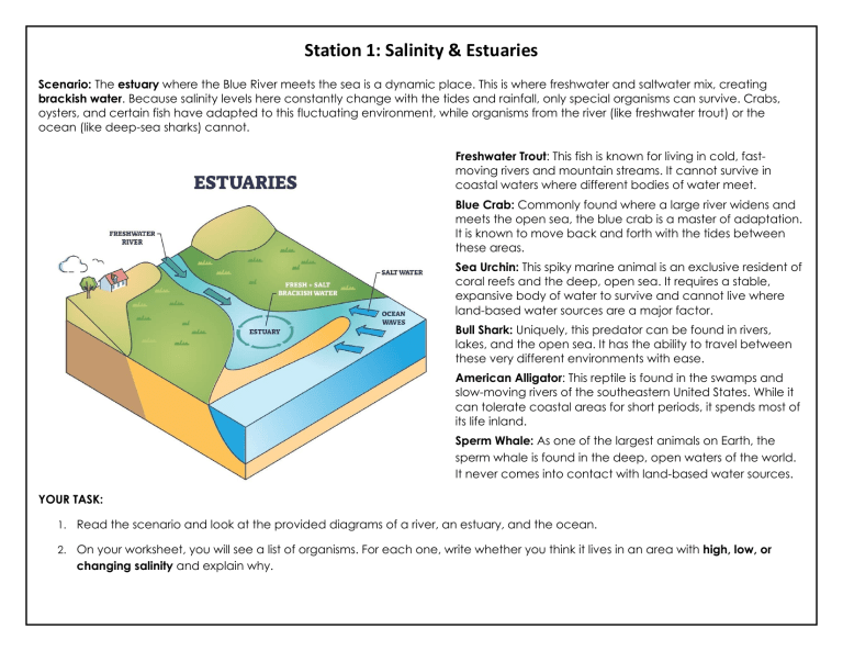 Science Stations: Salinity, Dissolved Oxygen, Nutrients, Temperature