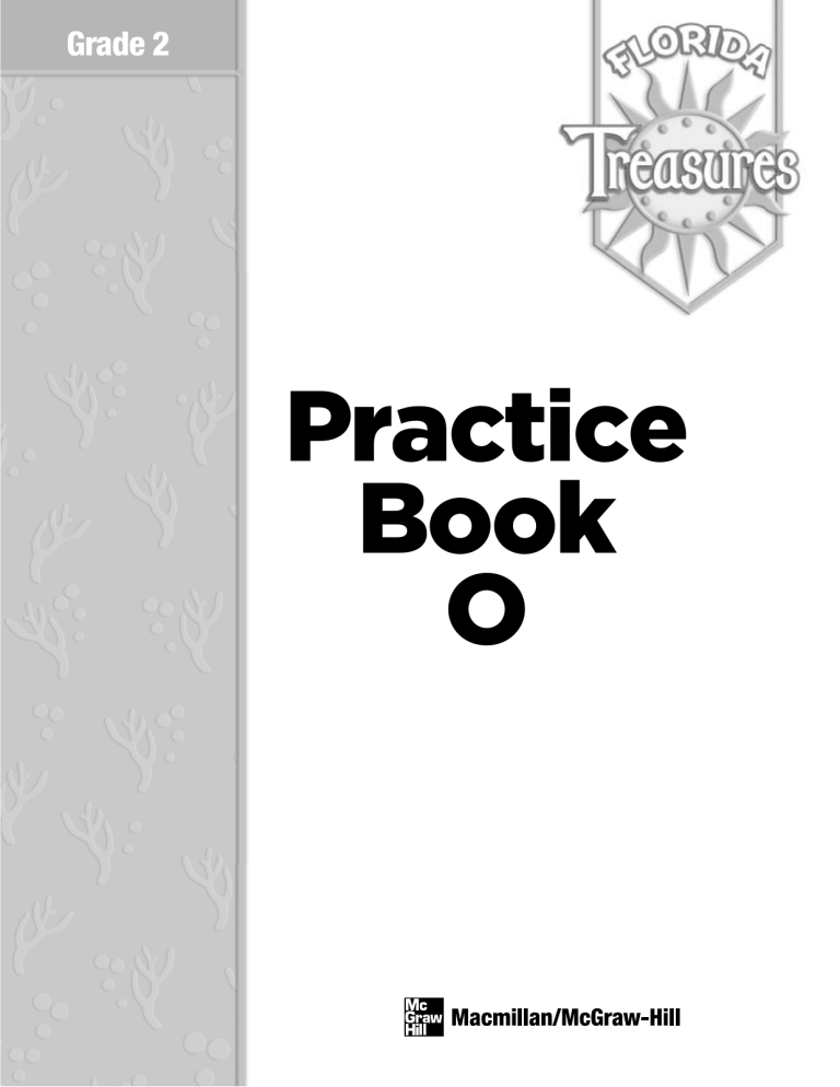 Grade 2 Language Arts Practice Book