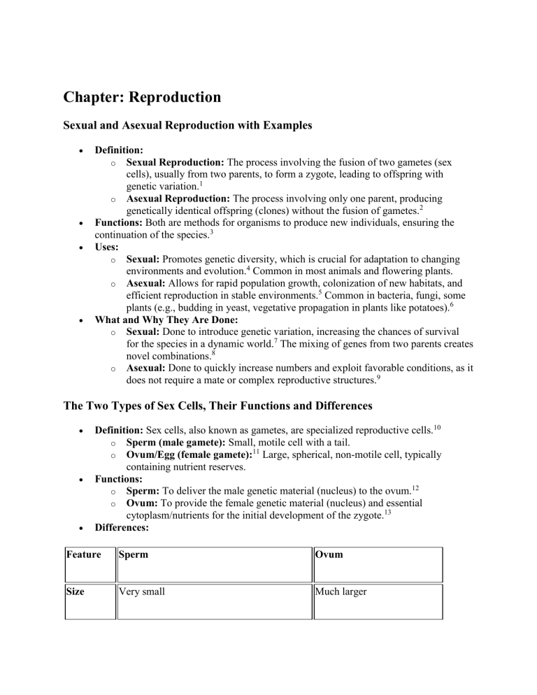 Reproduction & Inheritance: DNA, Gametes, Fertilization, Cell Division