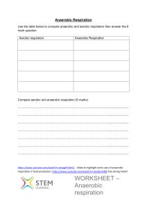 Aerobic vs. Anaerobic Respiration Worksheet