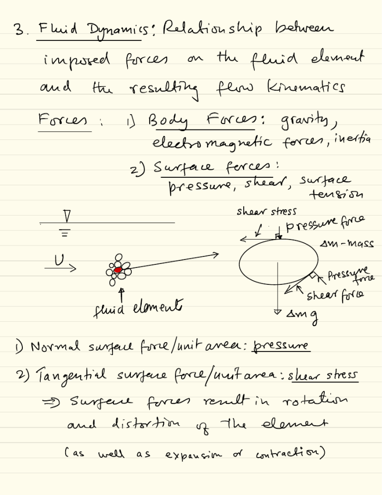 Fluid Dynamics: Forces, Kinematics, and Conservation of Mass