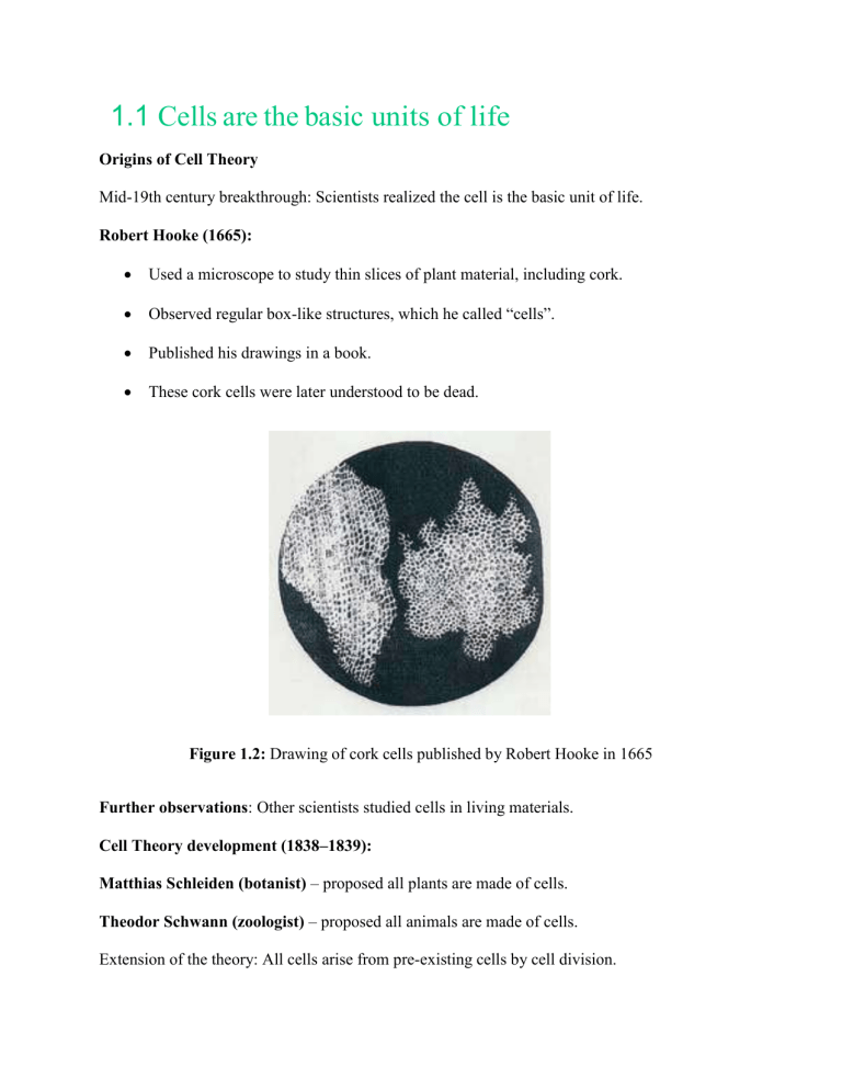 Cell Theory & Types: Prokaryotic, Eukaryotic Cells & Organelles Explained