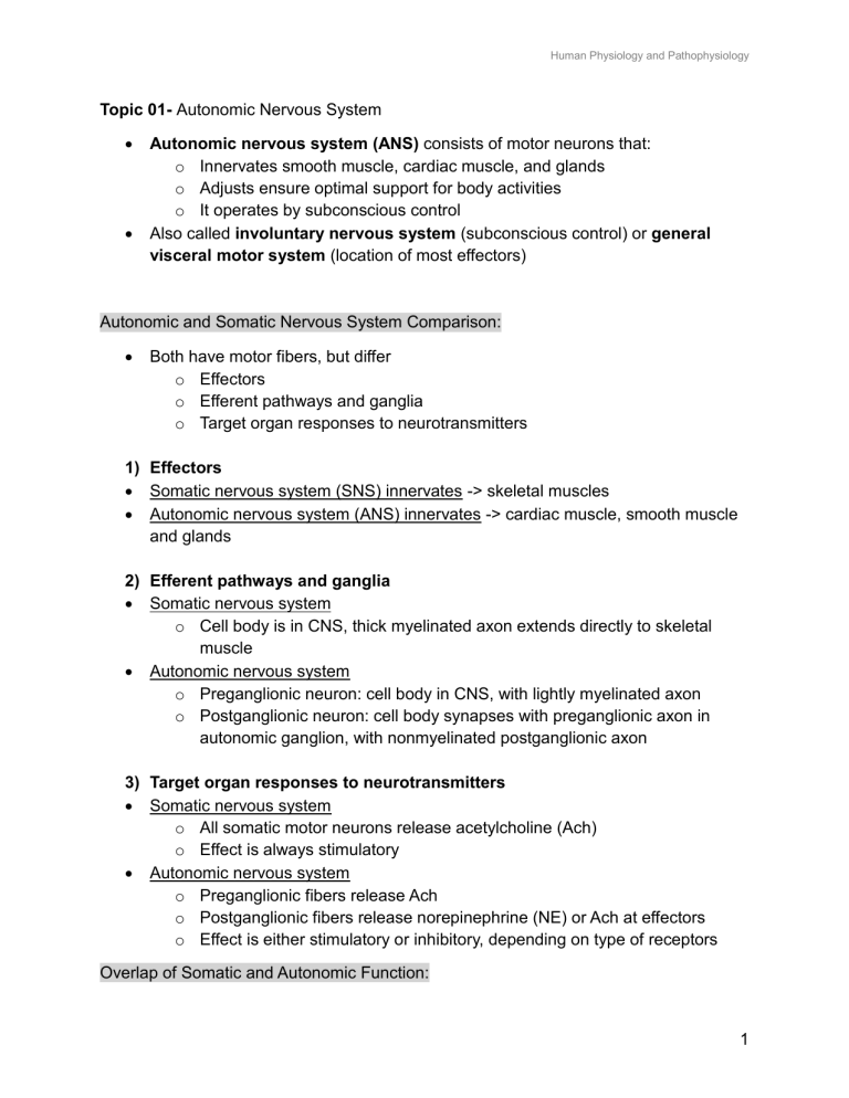 Autonomic Nervous System: Physiology Lecture Notes