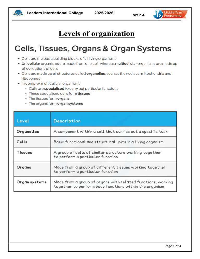 MYP 4 Biology: Levels of Organization & Cell Types Study Guide