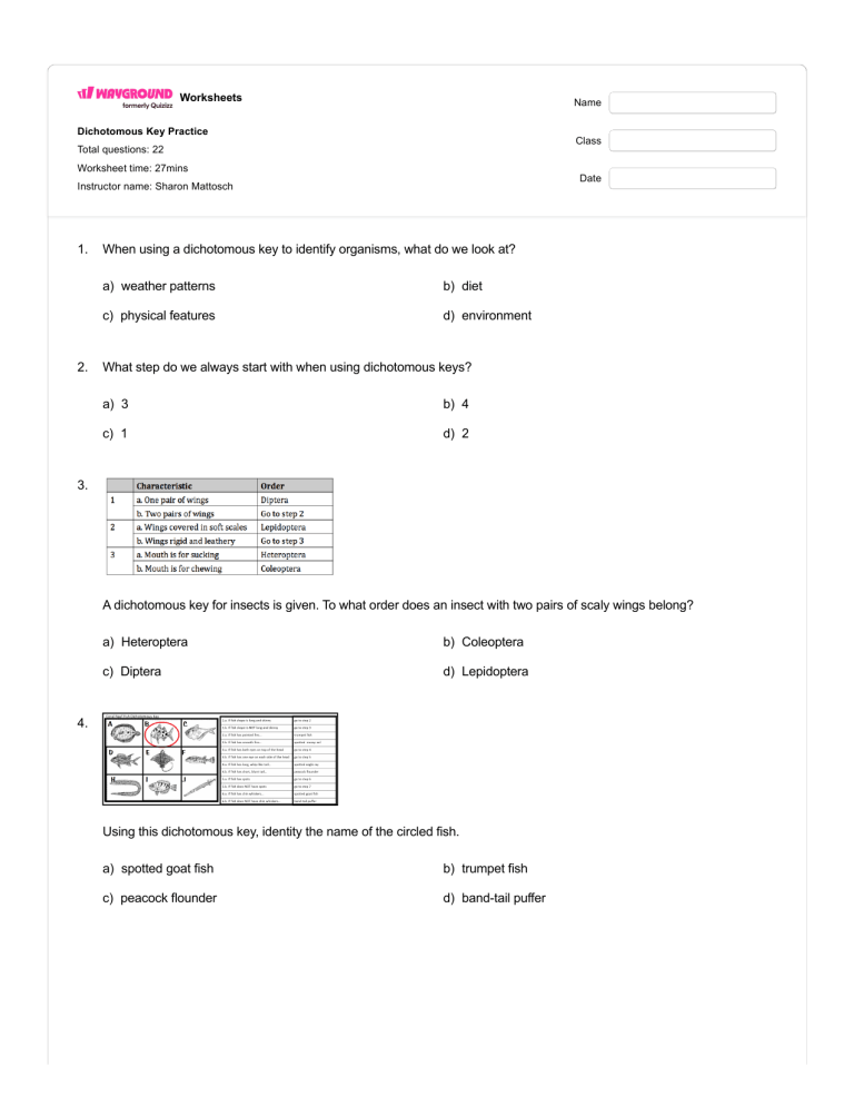 Dichotomous Key Practice Worksheet | Biology Classification Questions