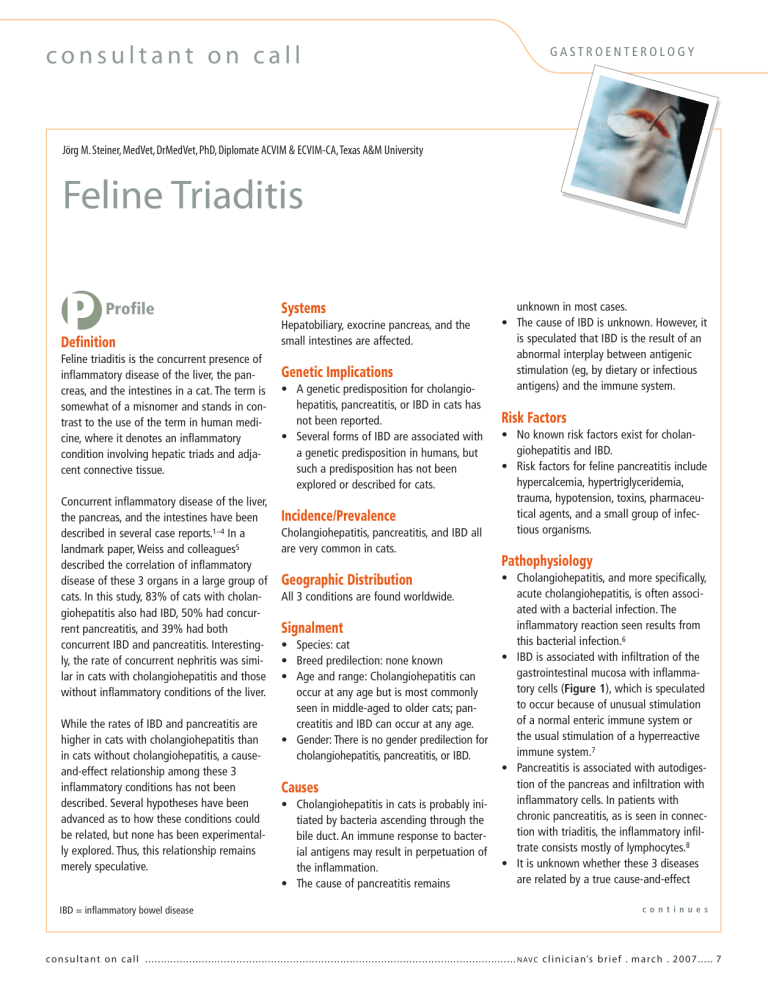 Feline Triaditis: Definition, Diagnosis, and Treatment in Cats
