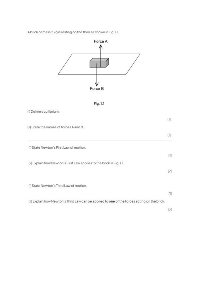 Physics: Equilibrium & Newton's Laws Question Set | High School