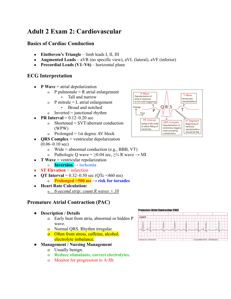 Adult 2 Exam 2: Cardiovascular ECG & Arrhythmia Study Guide
