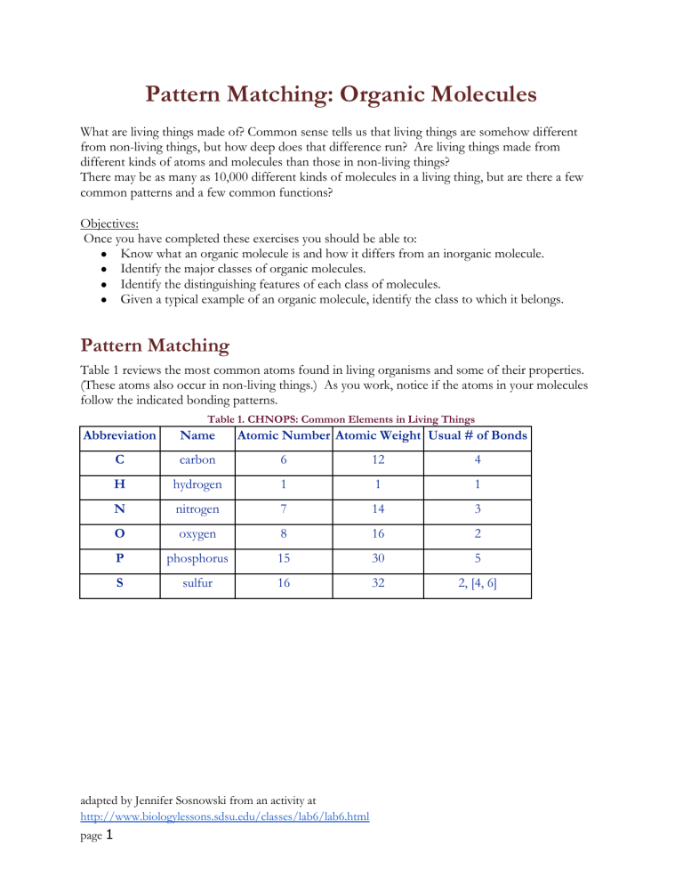 Pattern Matching: Organic Molecules Classification Activity