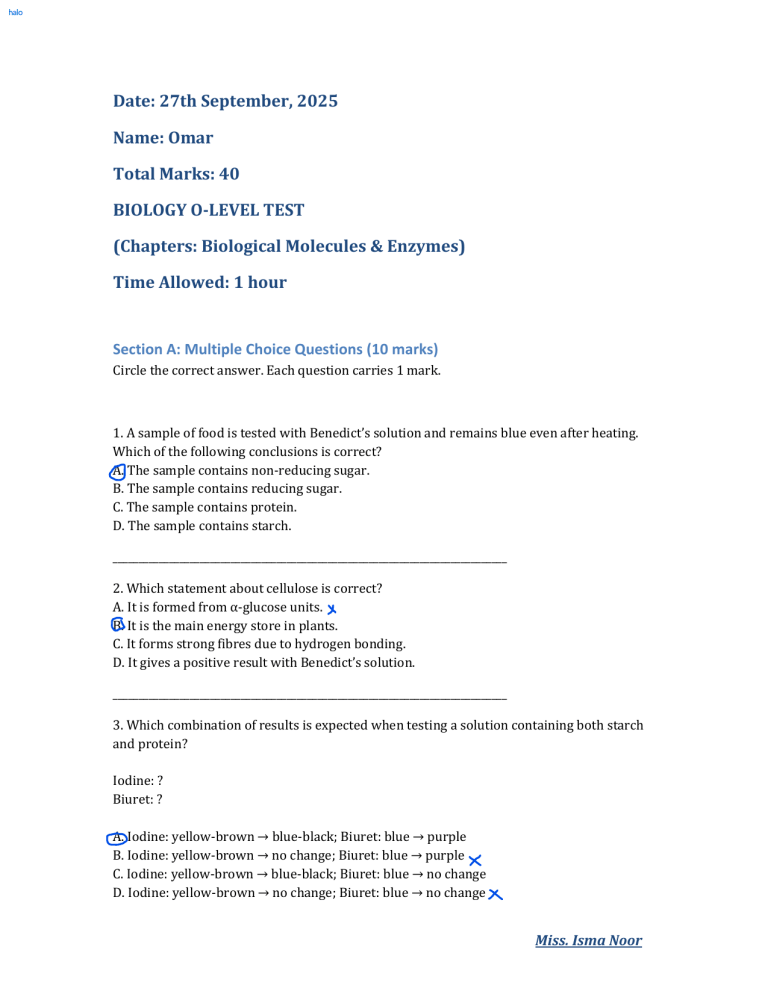 Biology O-Level Test: Biological Molecules & Enzymes (High School)