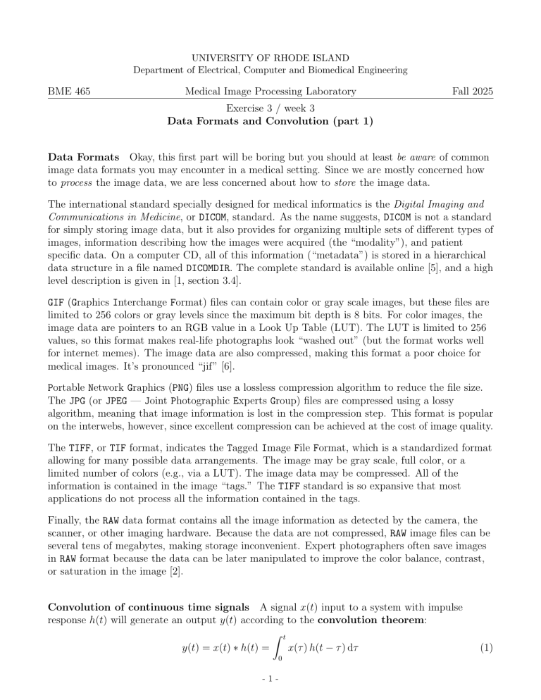Medical Image Processing Lab: Data Formats & Convolution (BME 465)