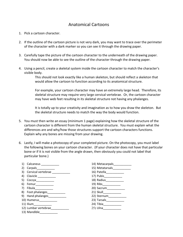 Anatomical Cartoons: Skeletal System Project & Rubric