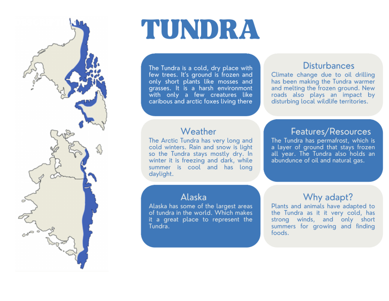 Tundra Biome: Characteristics, Wildlife, Climate & Adaptations