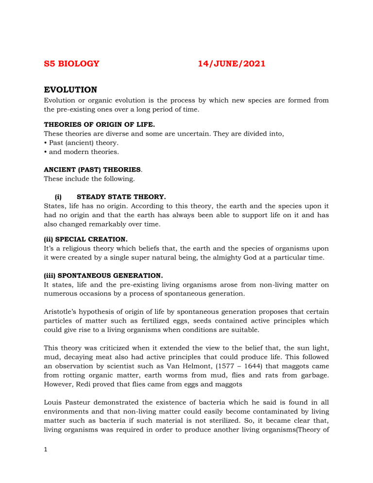 Evolution & Origin of Life Theories: Biology Study Guide (S5)