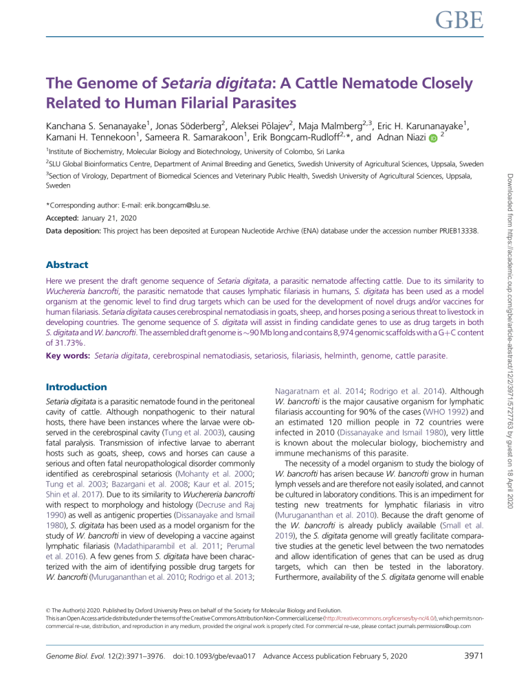 Setaria digitata Genome: Cattle Nematode & Human Filariasis