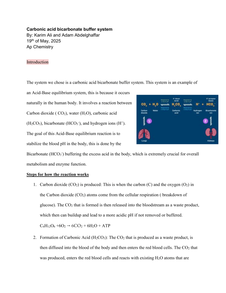 Carbonic Acid Bicarbonate Buffer System: AP Chemistry Report