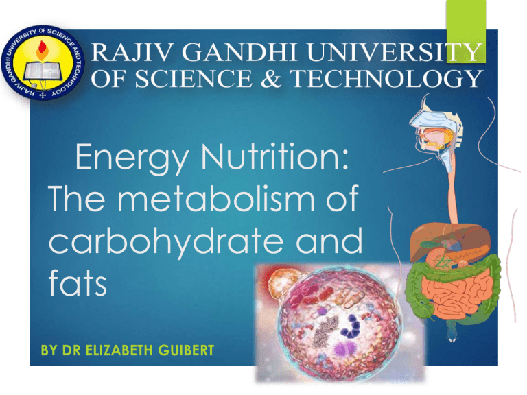 Carbohydrate & Fat Metabolism: Energy Nutrition & ATP Formation
