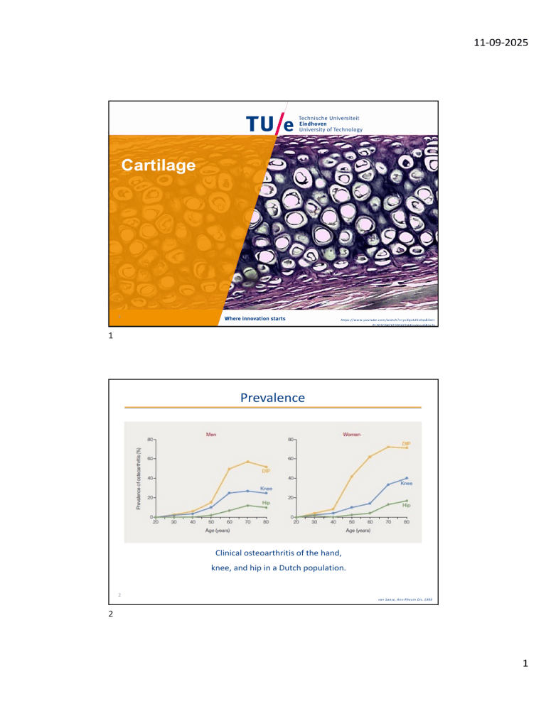Cartilage Biology & Biomechanics: Structure, Function, & Repair