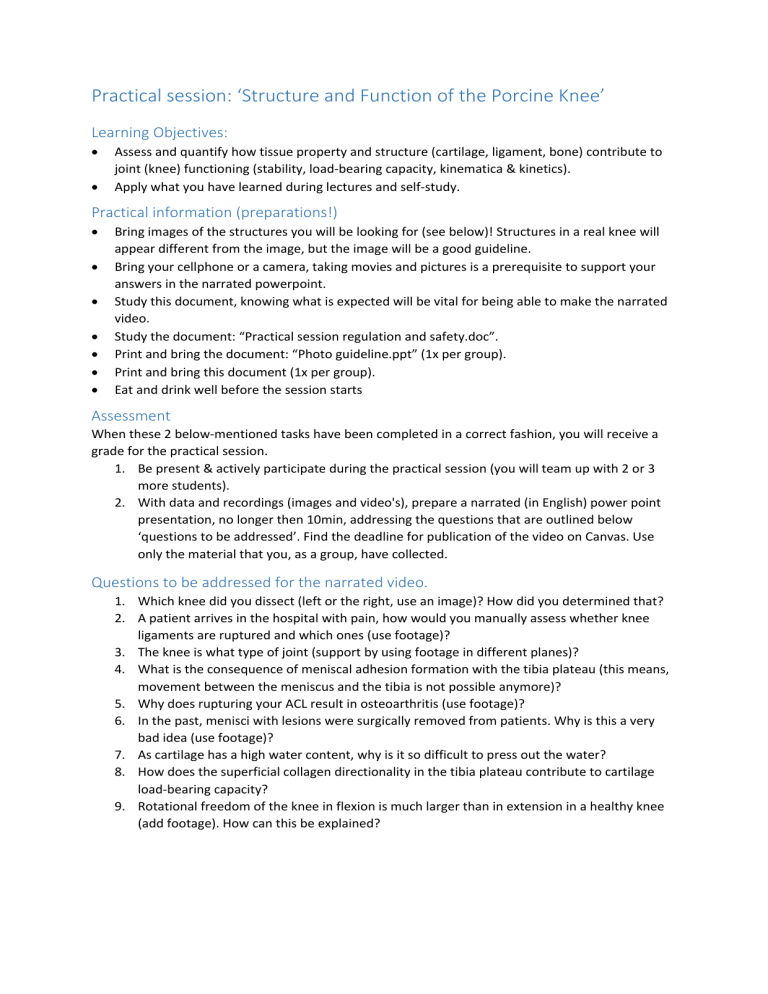 Practical Session: Porcine Knee Structure, Function & Biomechanics