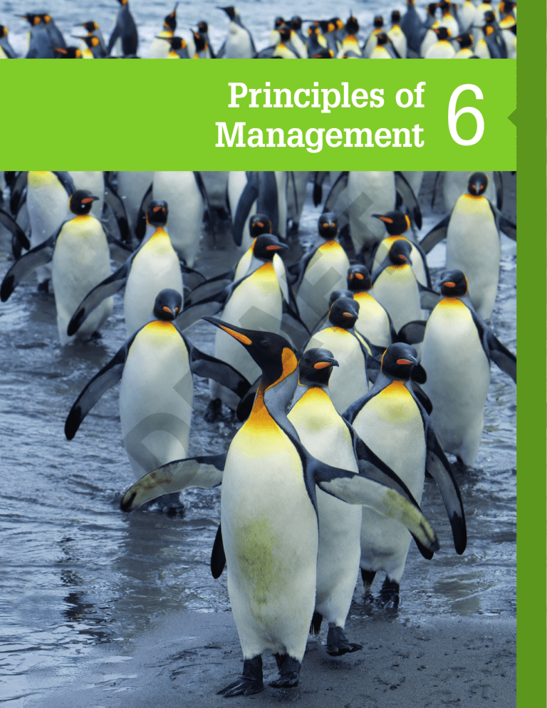 Principles of Management: Leadership, Styles, HR & Business Success
