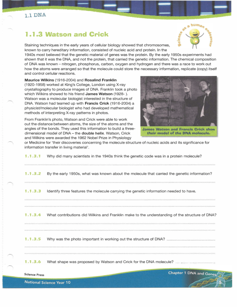 Watson and Crick: DNA Structure Discovery