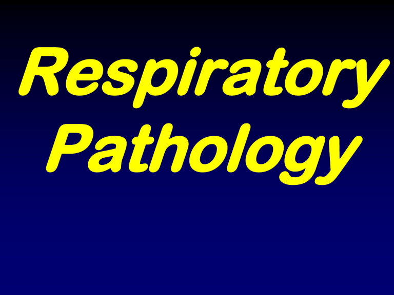 Respiratory Pathology: Anatomy, Lesions, Lung Function & Diseases