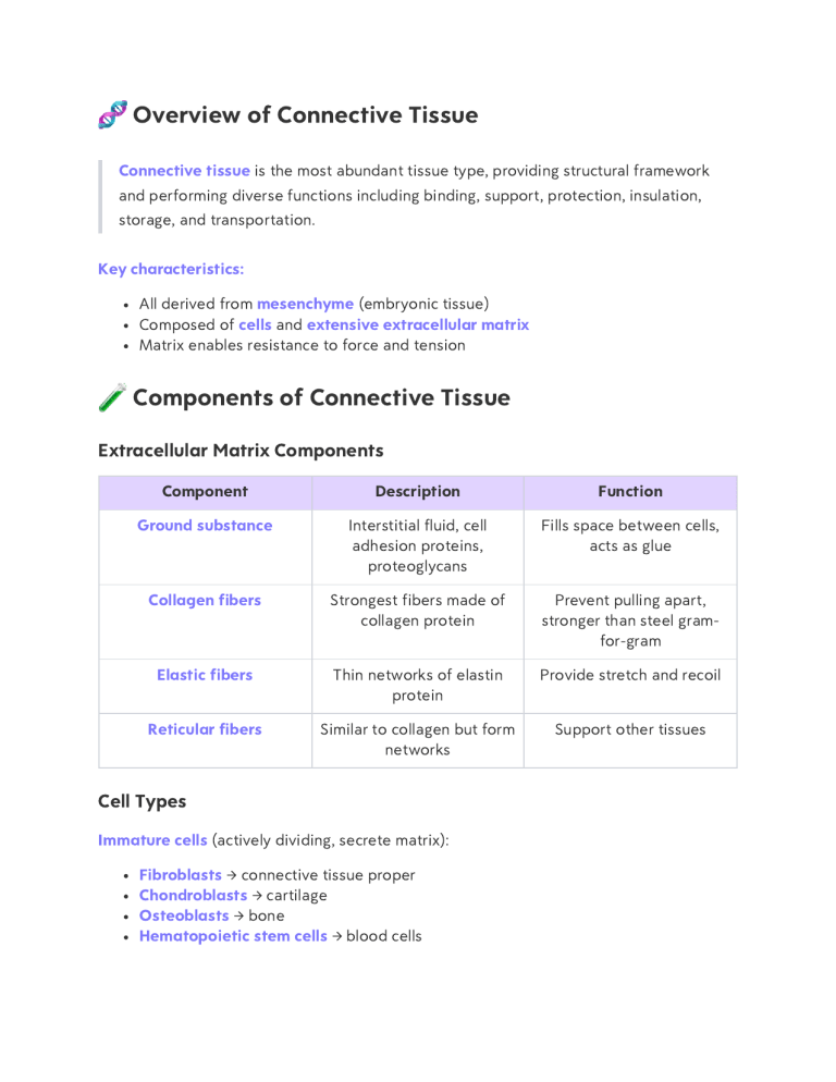 Connective Tissue Overview: Types, Components, and Functions