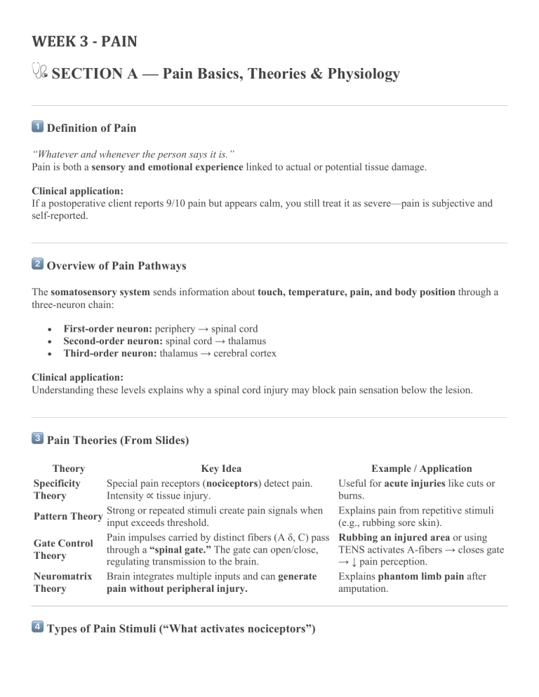 Pain Basics, Theories & Physiology: A Comprehensive Study Guide