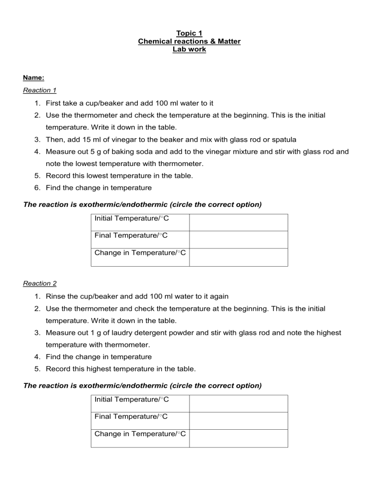 Chemical Reactions & Matter Lab: Exothermic/Endothermic Experiments