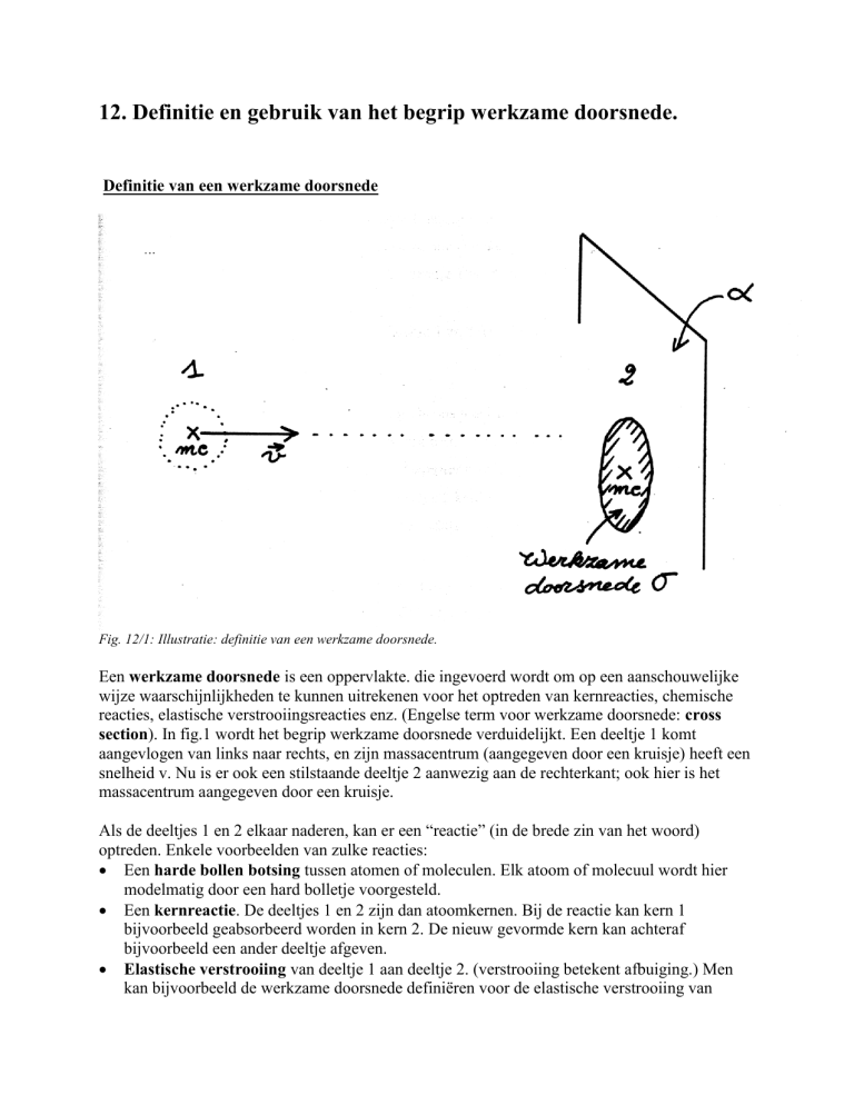 annex-werkzame-doorsnede