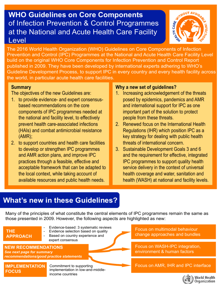 WHO Guidelines: Infection Prevention & Control Programmes (2016)