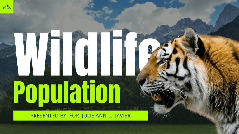 Wildlife Population Dynamics: Ecological Interactions & Symbiosis
