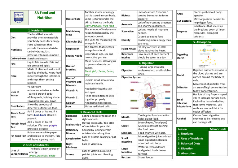 8A Food and Nutrition Study Guide: Nutrients, Digestion & Absorption
