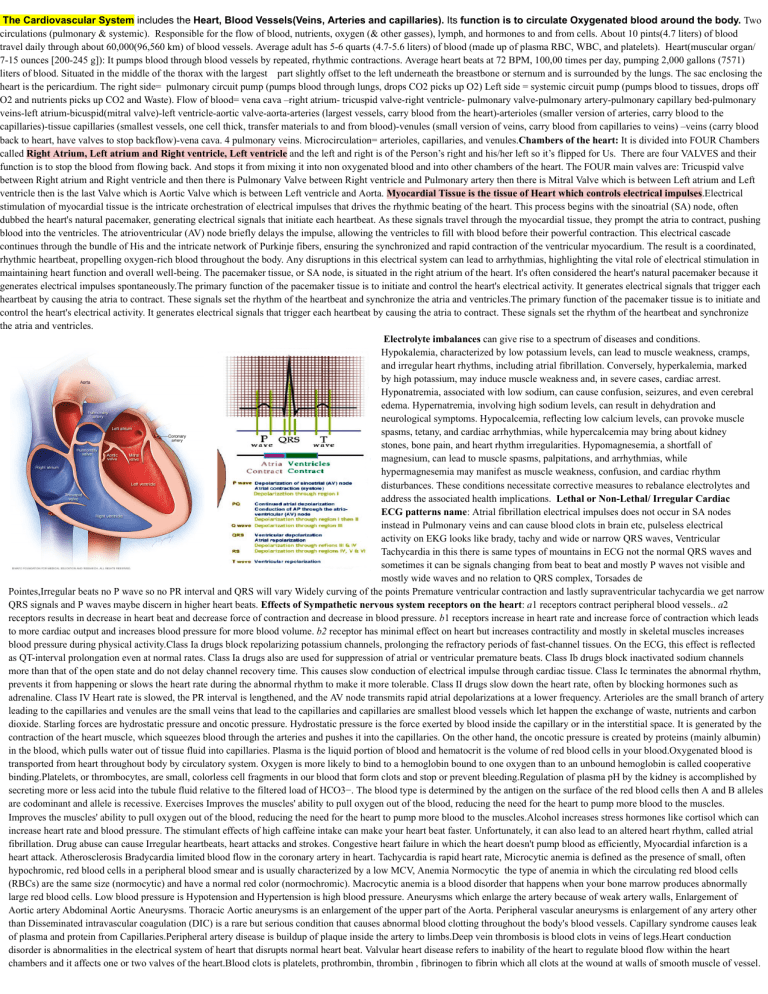 Cardiovascular System: Heart, Blood Flow, ECG & Electrolyte Imbalances