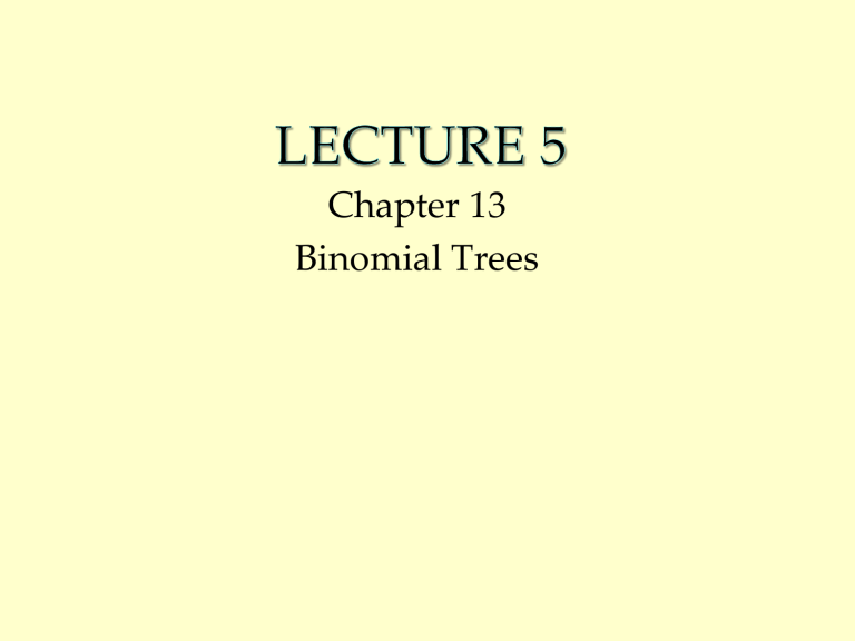 Binomial Trees: Option Pricing & Risk-Neutral Valuation (Lecture 5)