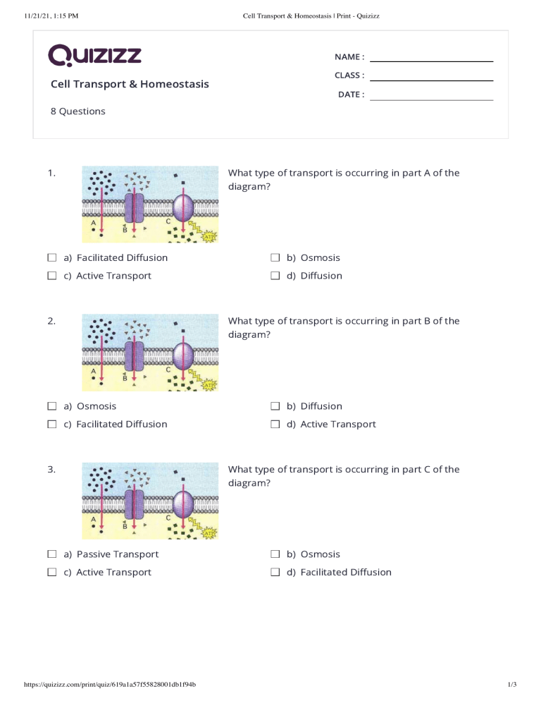 Cell Transport & Homeostasis Quiz | Biology Assessment Questions