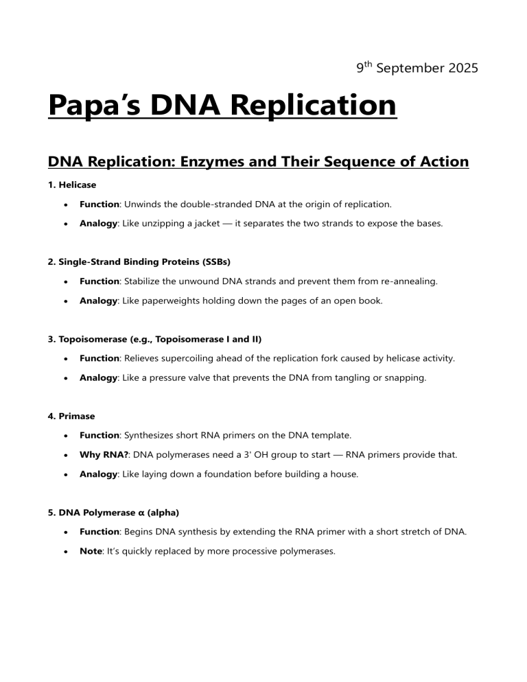 DNA Replication: Enzymes & Sequence of Action | Biology Study Guide