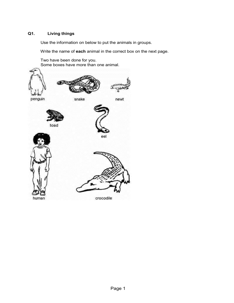 Science Worksheet: Living Things, Adaptations, Food Chains & Classification