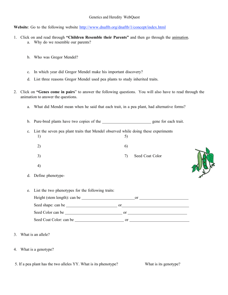 Genetics & Heredity WebQuest: Mendel's Laws & Punnett Squares