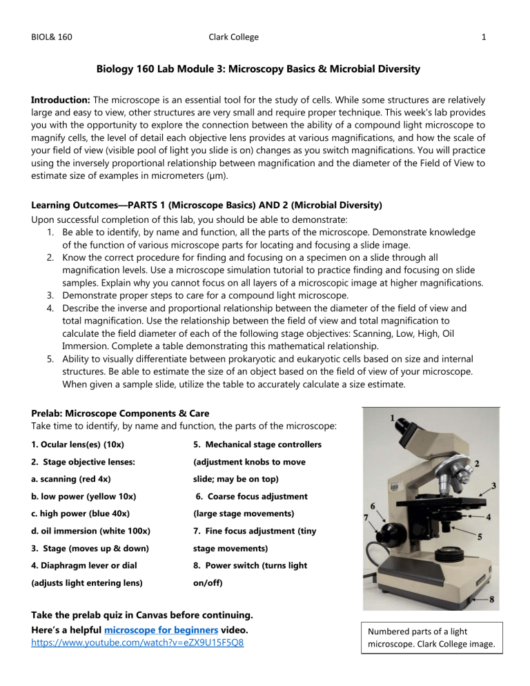 Microscopy Basics & Microbial Diversity Lab Module - BIOL& 160