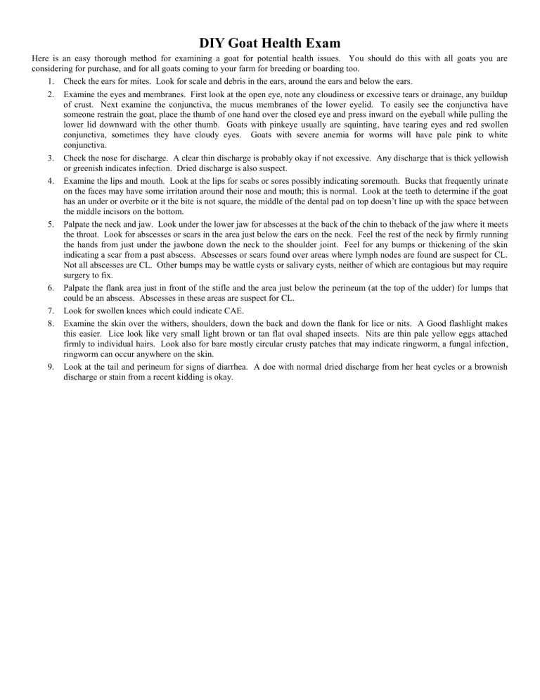 DIY Goat Health Exam: Easy Steps for Identifying Health Issues