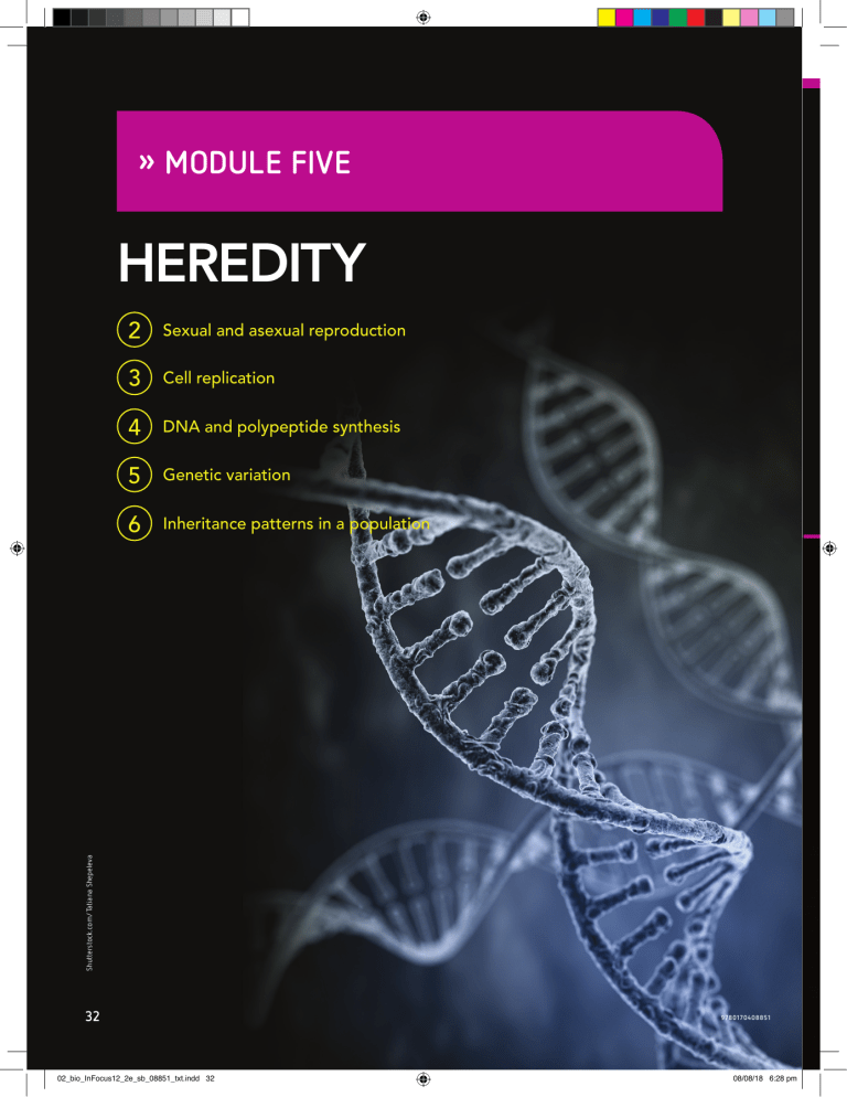 Heredity: Sexual & Asexual Reproduction, Cell Replication & DNA Synthesis